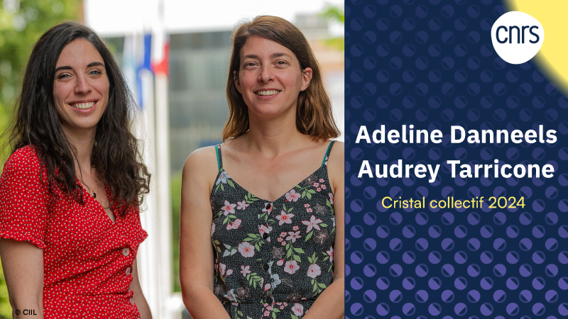 ViroCrib lauréat de la Médaille de cristal collectif du CNRS 2024 ...